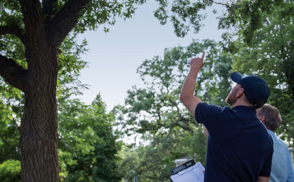 About Rainbow Treecare | Rainbow Treecare