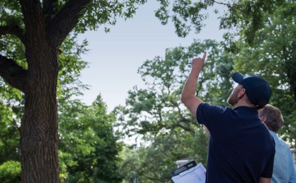 About Rainbow Treecare | Rainbow Treecare