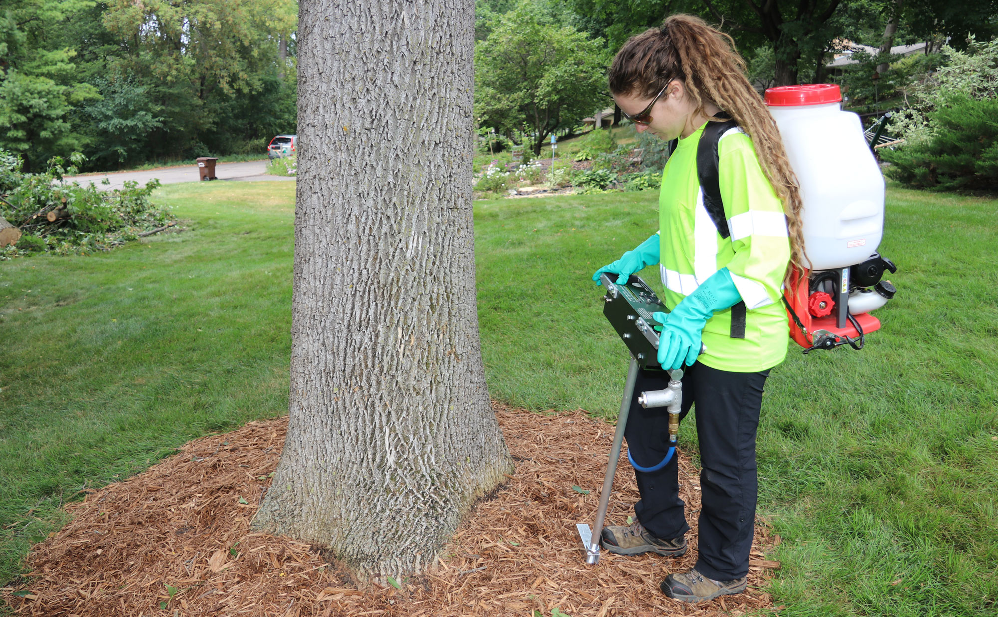 Tree Trunk & Soil Injection FAQs | Insecticide Spray FAQs