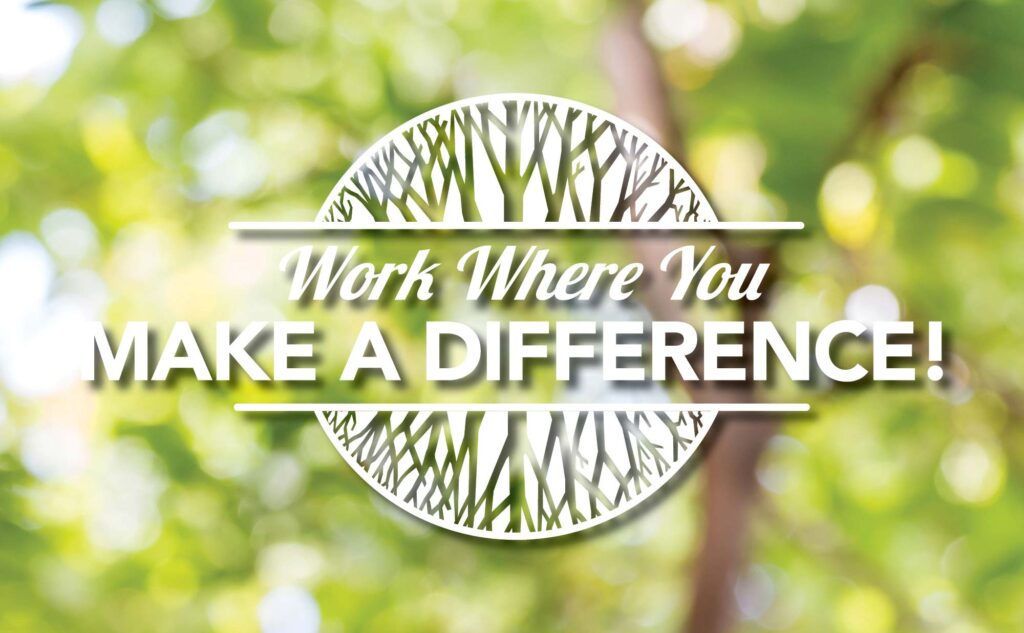 Rainbow Treecare Careers | Tree Climbing and Arborist Jobs