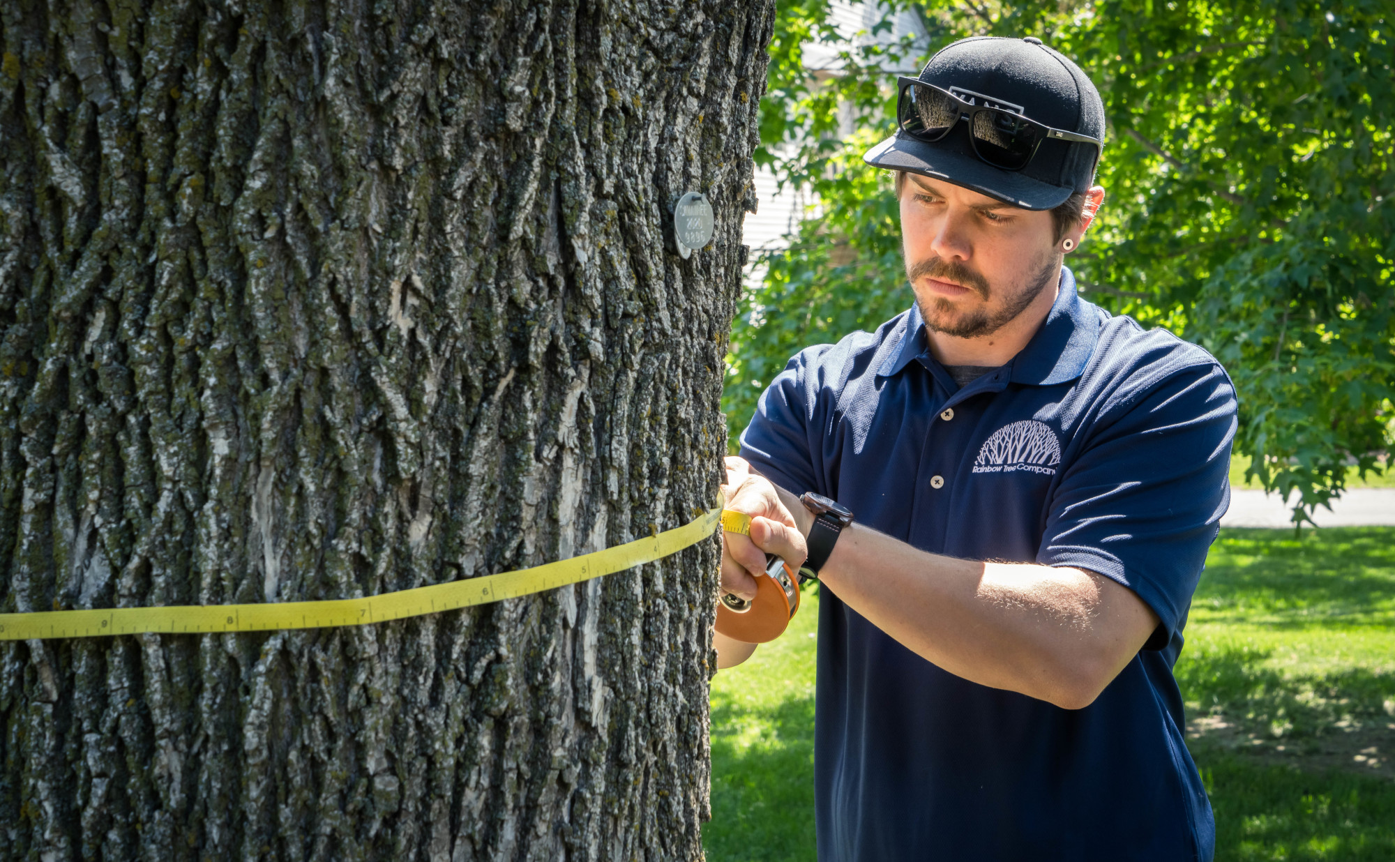 Contact Us for Services in the Twin Cities | Rainbow Treecare