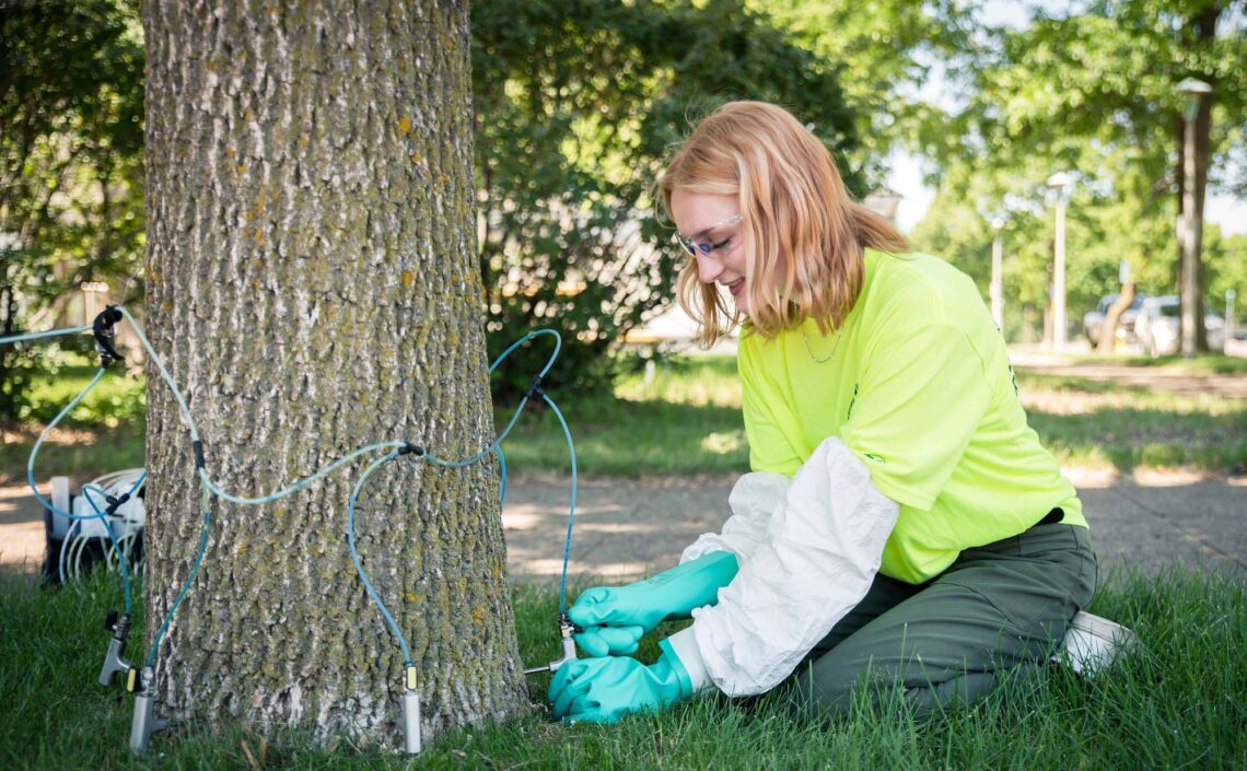 Contact us | Rainbow Treecare