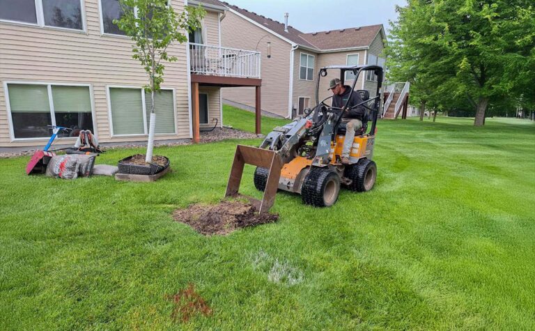 Professional Tree Planting Process for Minneapolis MN | Rainbow Treecare