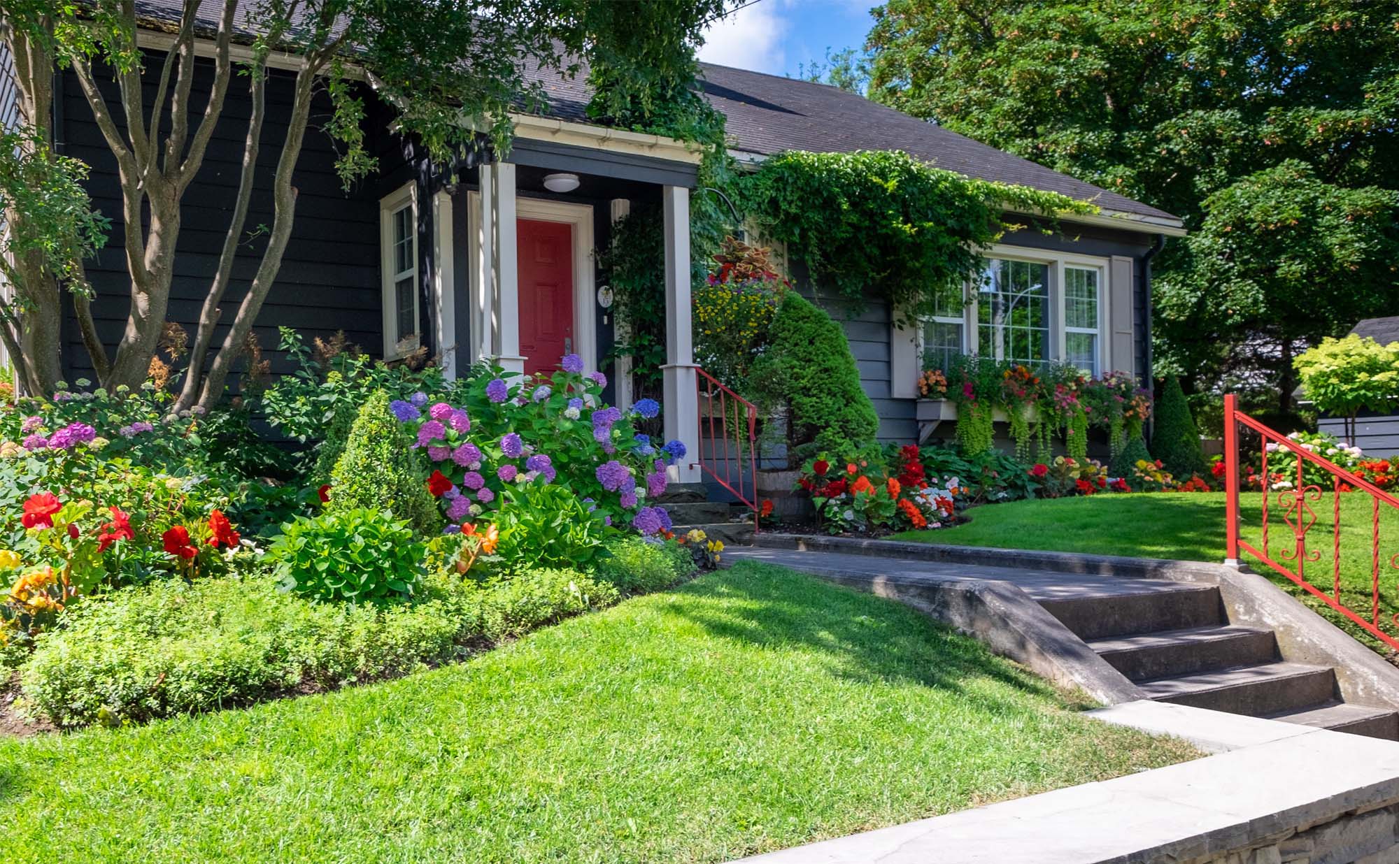 Your Yard, the Ultimate Ecosystem | Rainbow Treecare