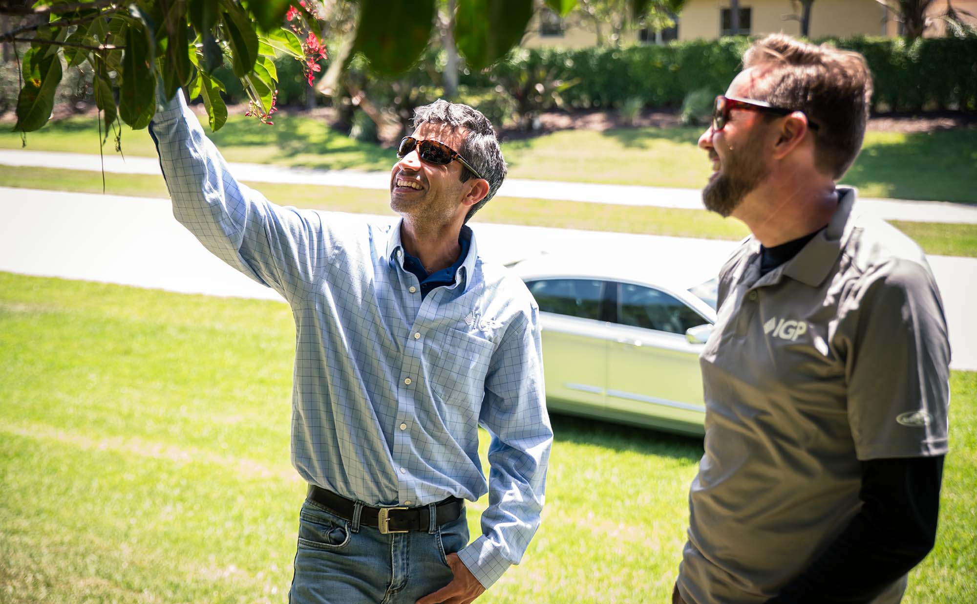 About 2025 | Rainbow Treecare