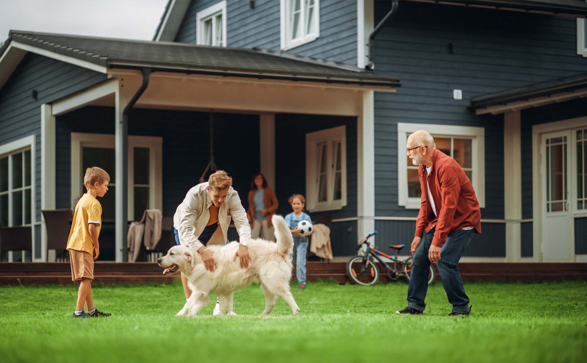 Your Yard, the Ultimate Ecosystem | Rainbow Treecare