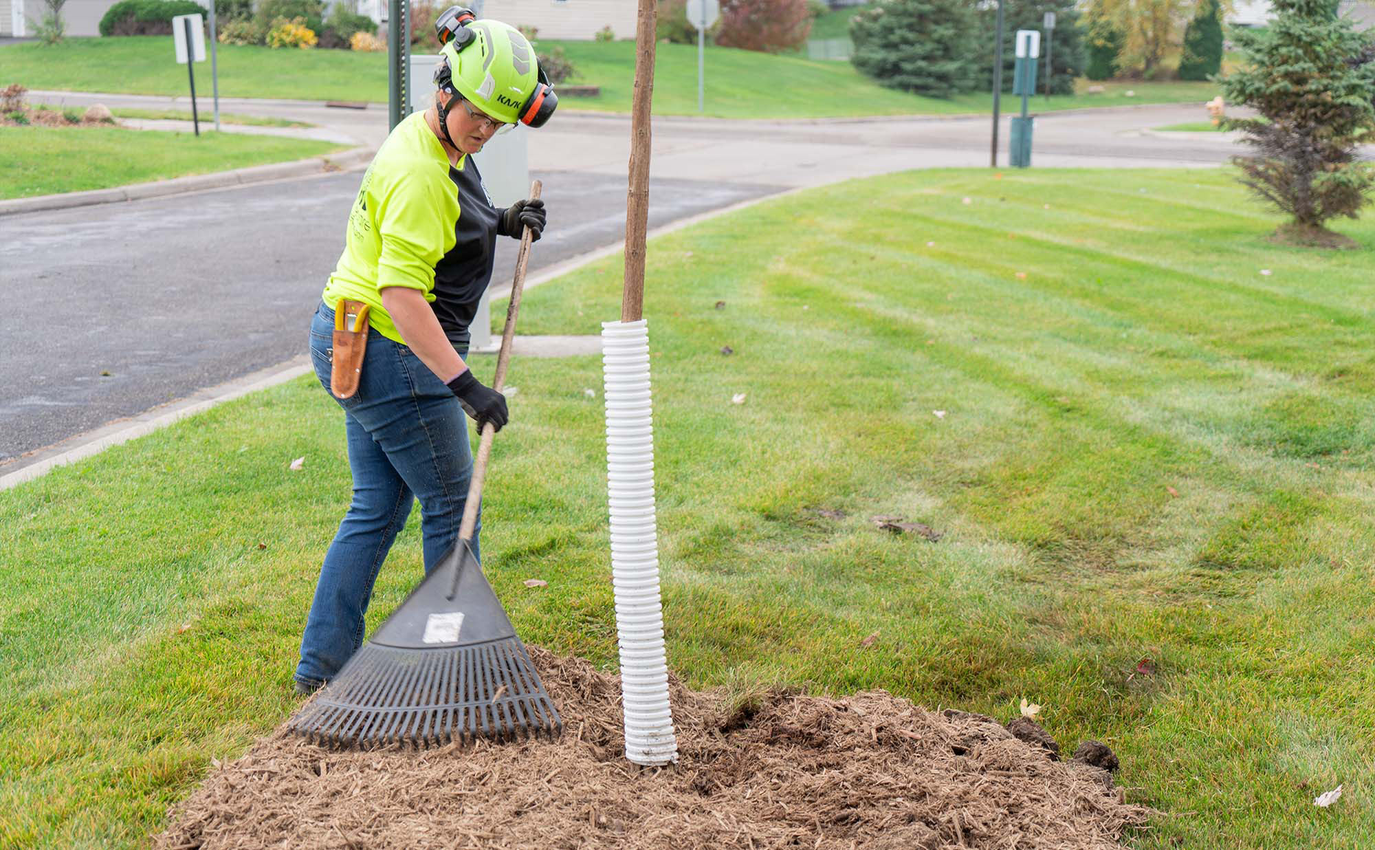 Why We Do What We Do | Rainbow Treecare